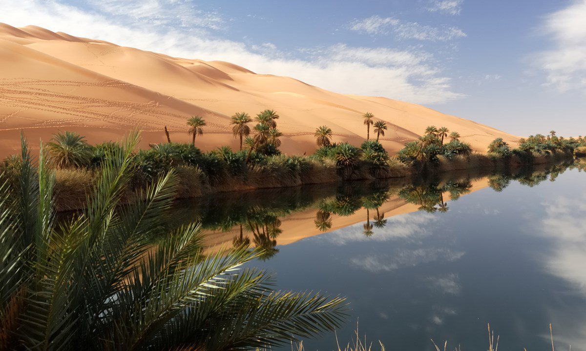 Moroccan Desert Oasis