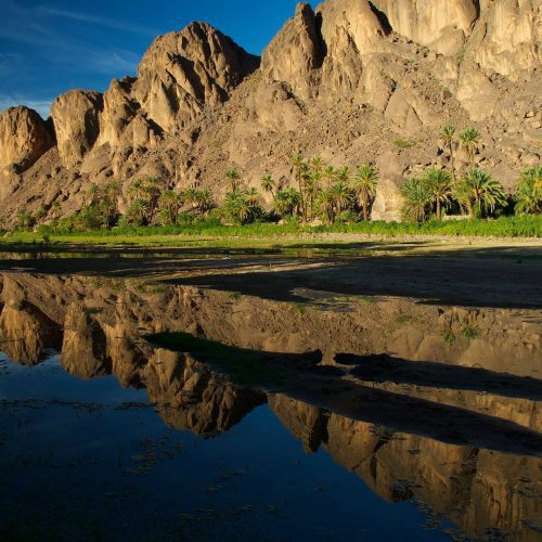 The largest oasis in the world is in Morocco - Morocco Top Trips