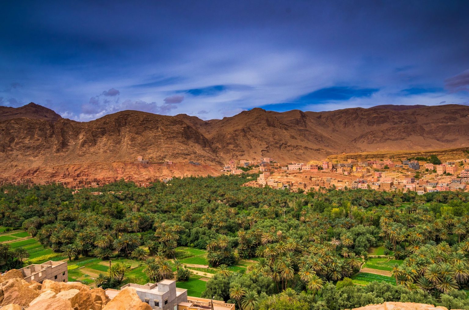 The largest oasis in the world is in Morocco - Morocco Top Trips